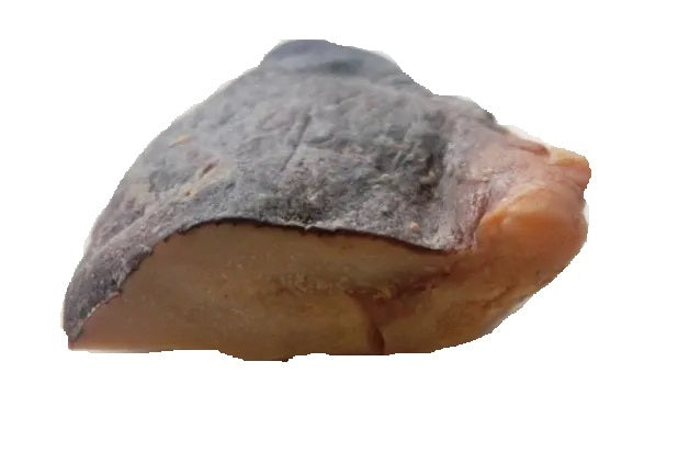 Yett (Escargot) – Poissonnerie : La Gambas